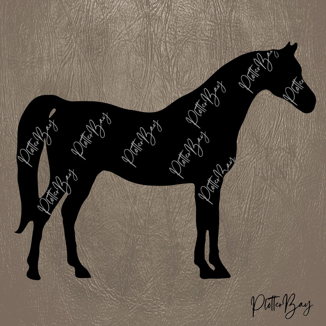 Arabian SVG Silhouette Horses SVG Plotter File Horse - Etsy Canada