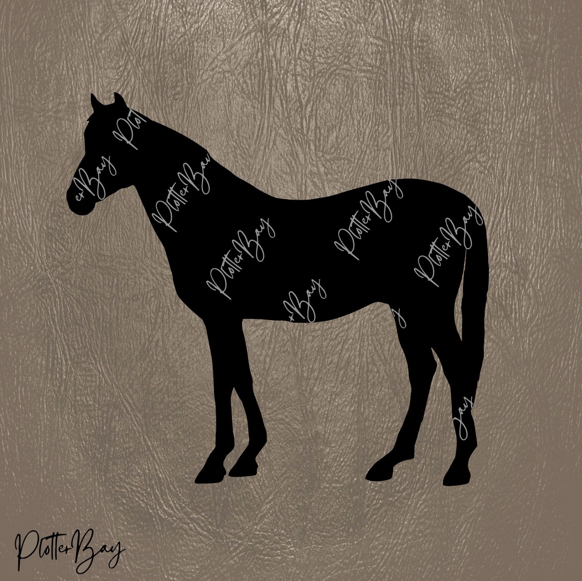 Deutsches Reitpony SVG, Silhouette, Pferde SVG, Plotterdatei Pferd steht (svg, png, jpg, dxf ...