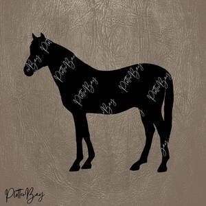 Deutsches Reitpony SVG, Silhouette, Pferde SVG, Plotterdatei Pferd steht (svg, png, jpg, dxf ...
