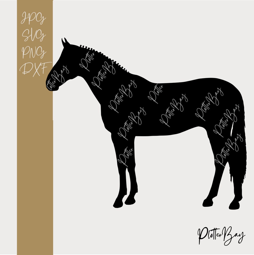 Warmblut SVG, Silhouette, Pferde stehend SVG, Plotterdatei Pferd (svg ...