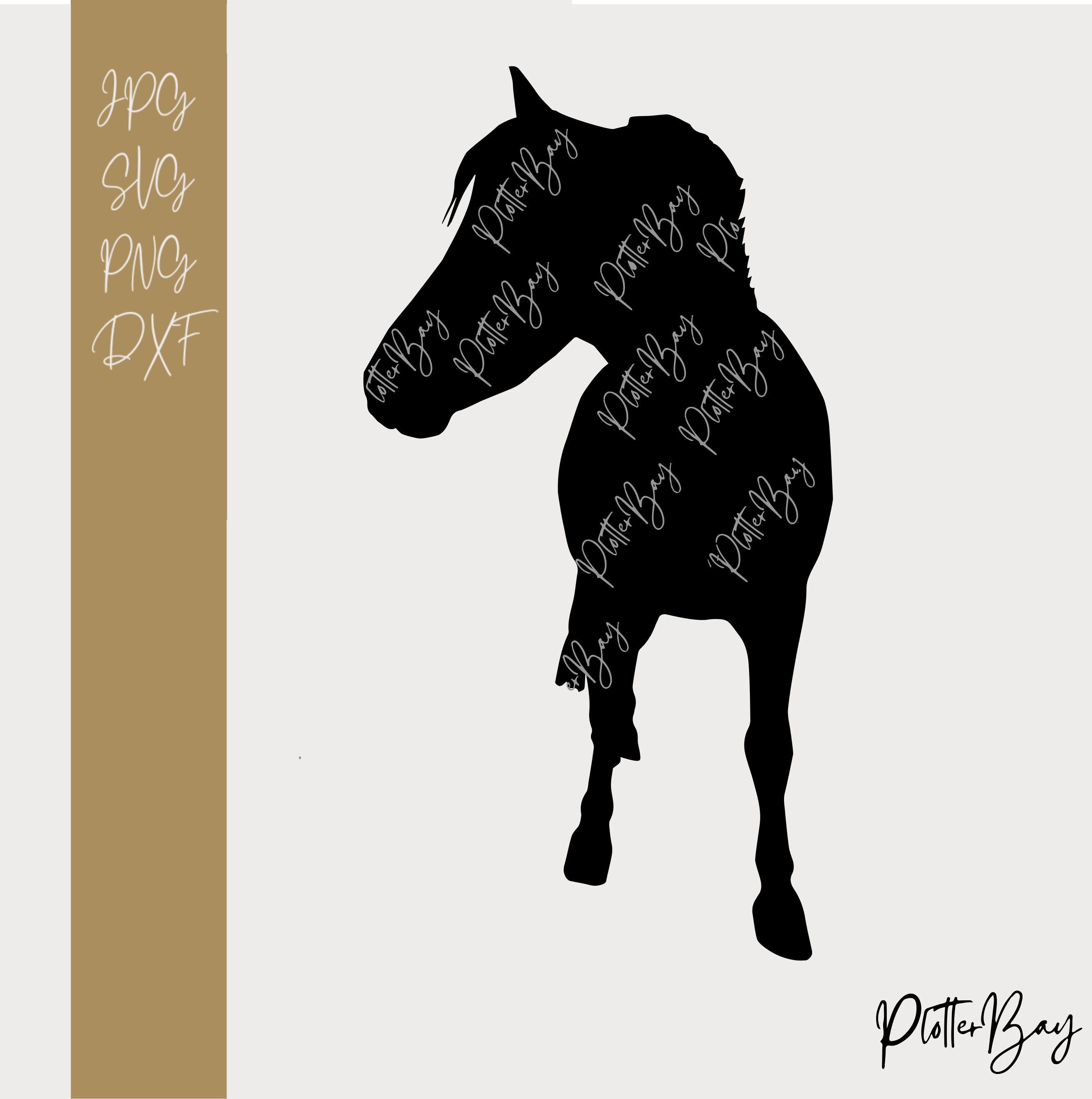 Plotterdatei Shetlandpony, Pferd stehend, Silhouette, Digitaler ...