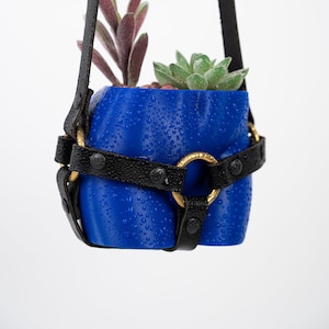 Booty Planter and Boob Hanging Planter With Harness - Etsy