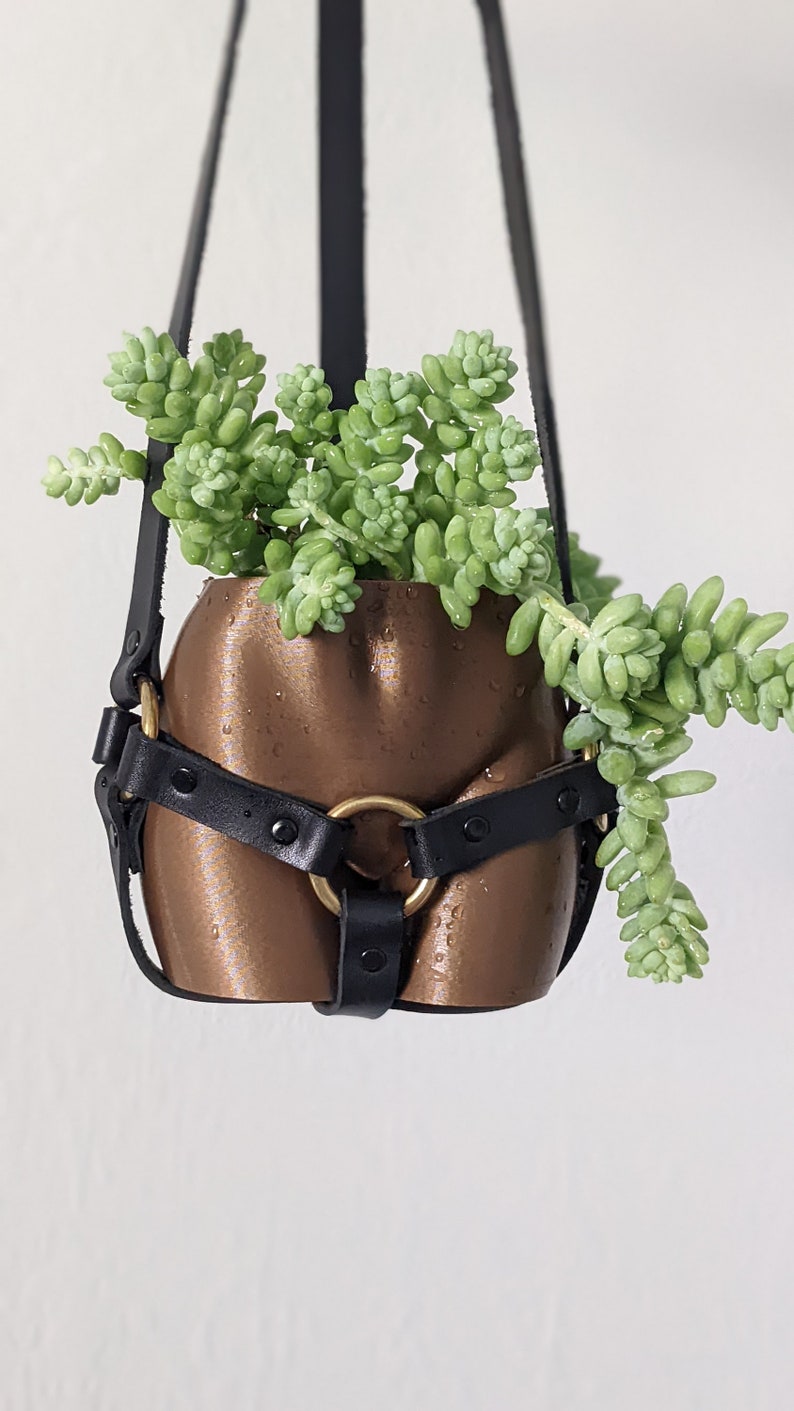 Booty Planter and Boob Hanging Planter With Harness - Etsy