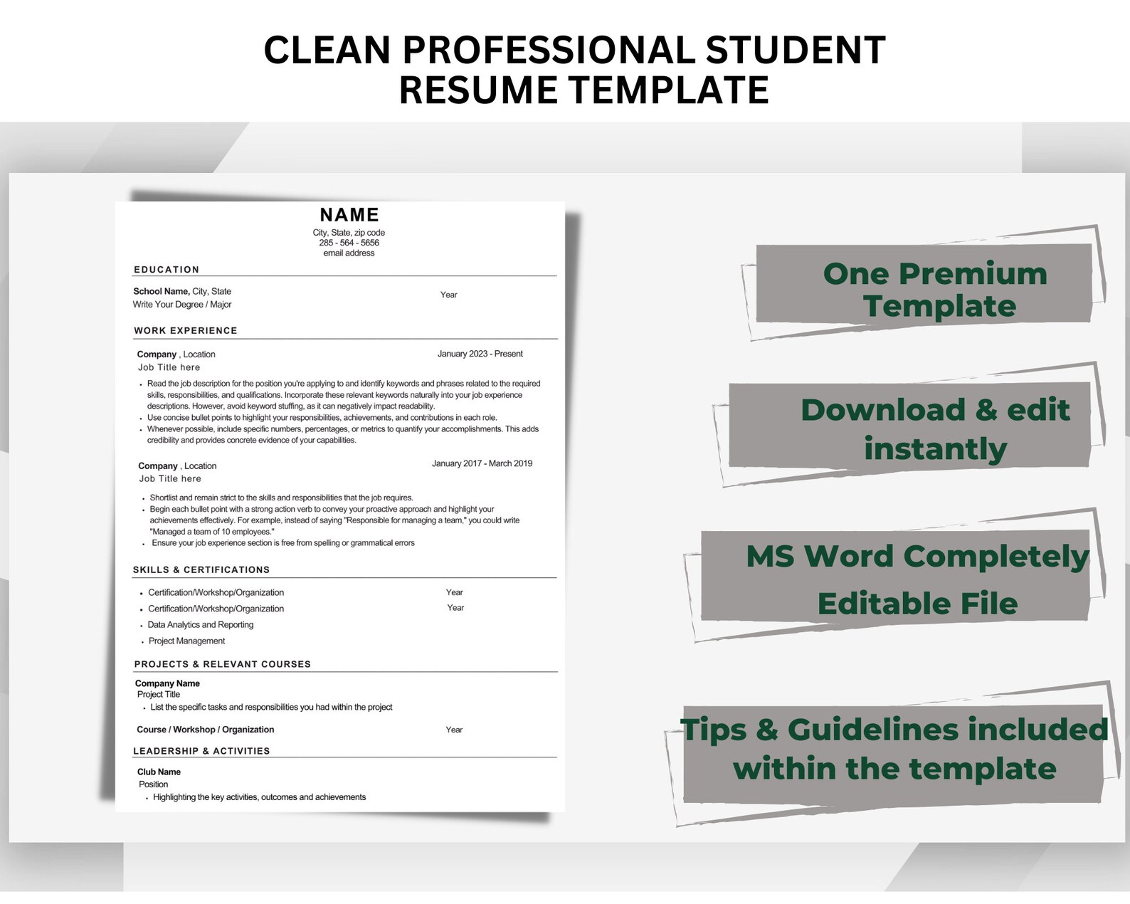 Student Resume Template, Clean & Professional Resume Template, College ...