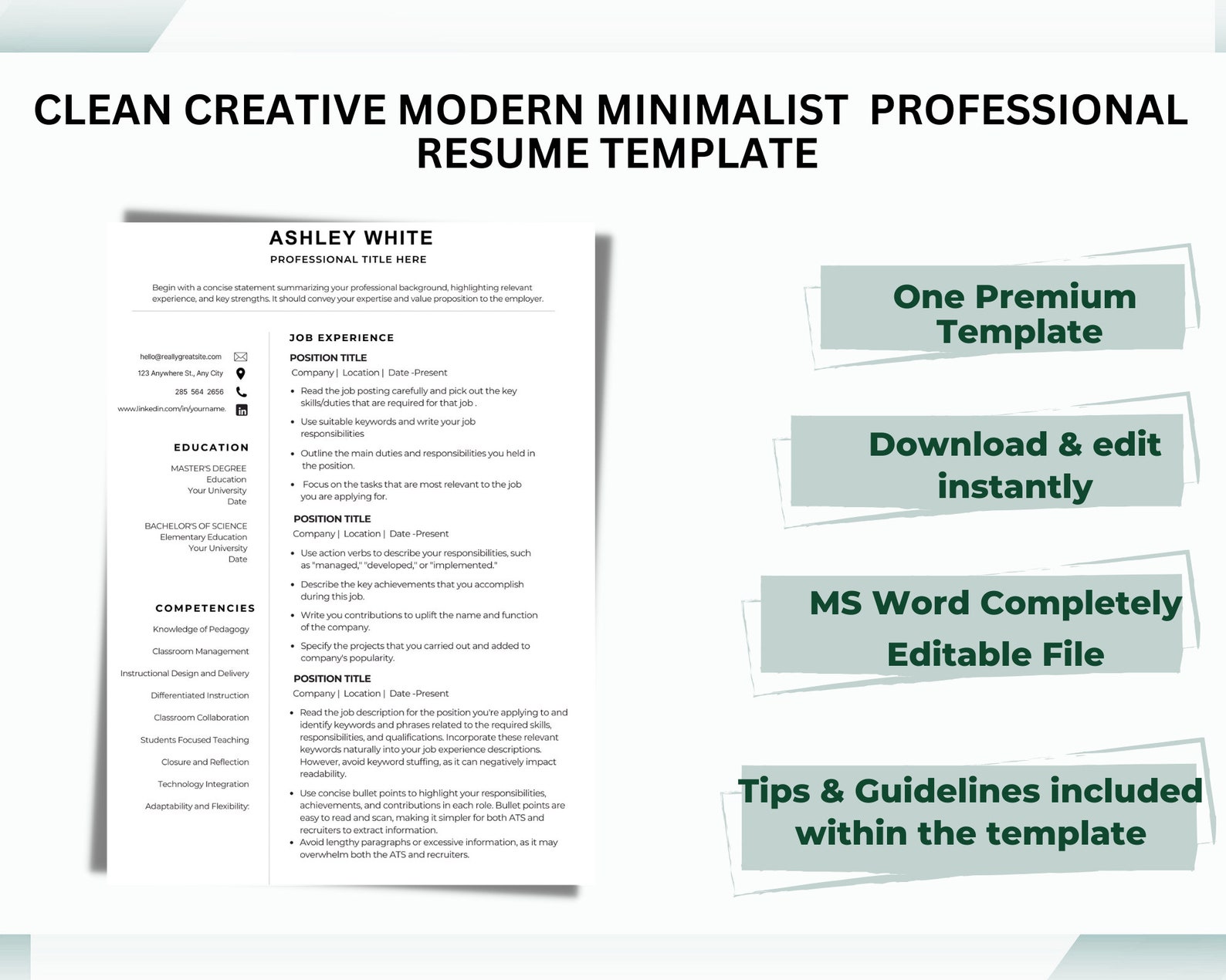 Modern Resume Microsoft Word Template, Clean Resume Template ...