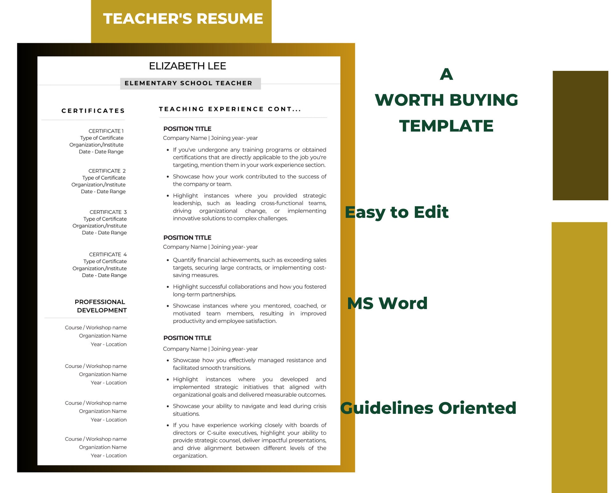Elementary Teacher CV Template for Word, Teacher CV Template ...