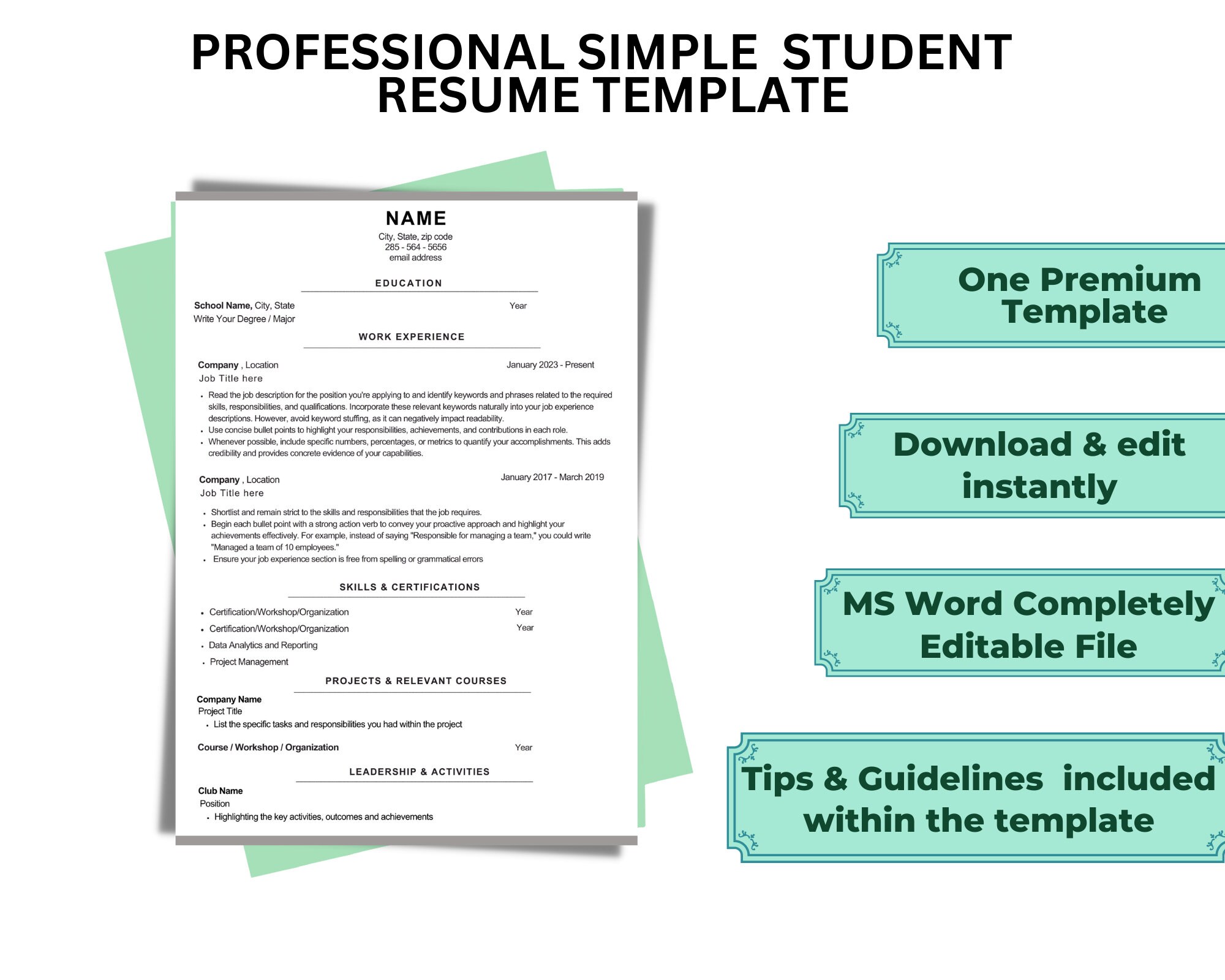 Student Resume Template, Clean & Professional Resume Template, College ...
