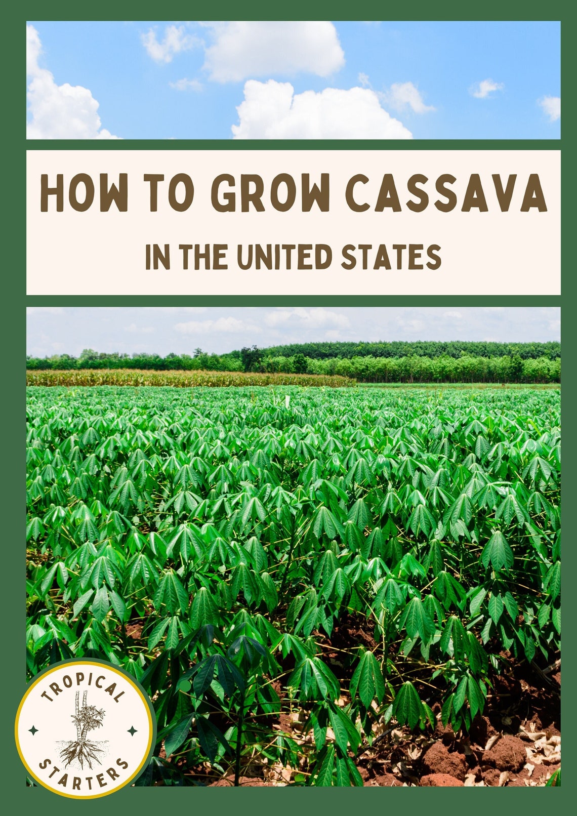 How to Grow Cassava in the United States (downloadable 34-page Ebook ...