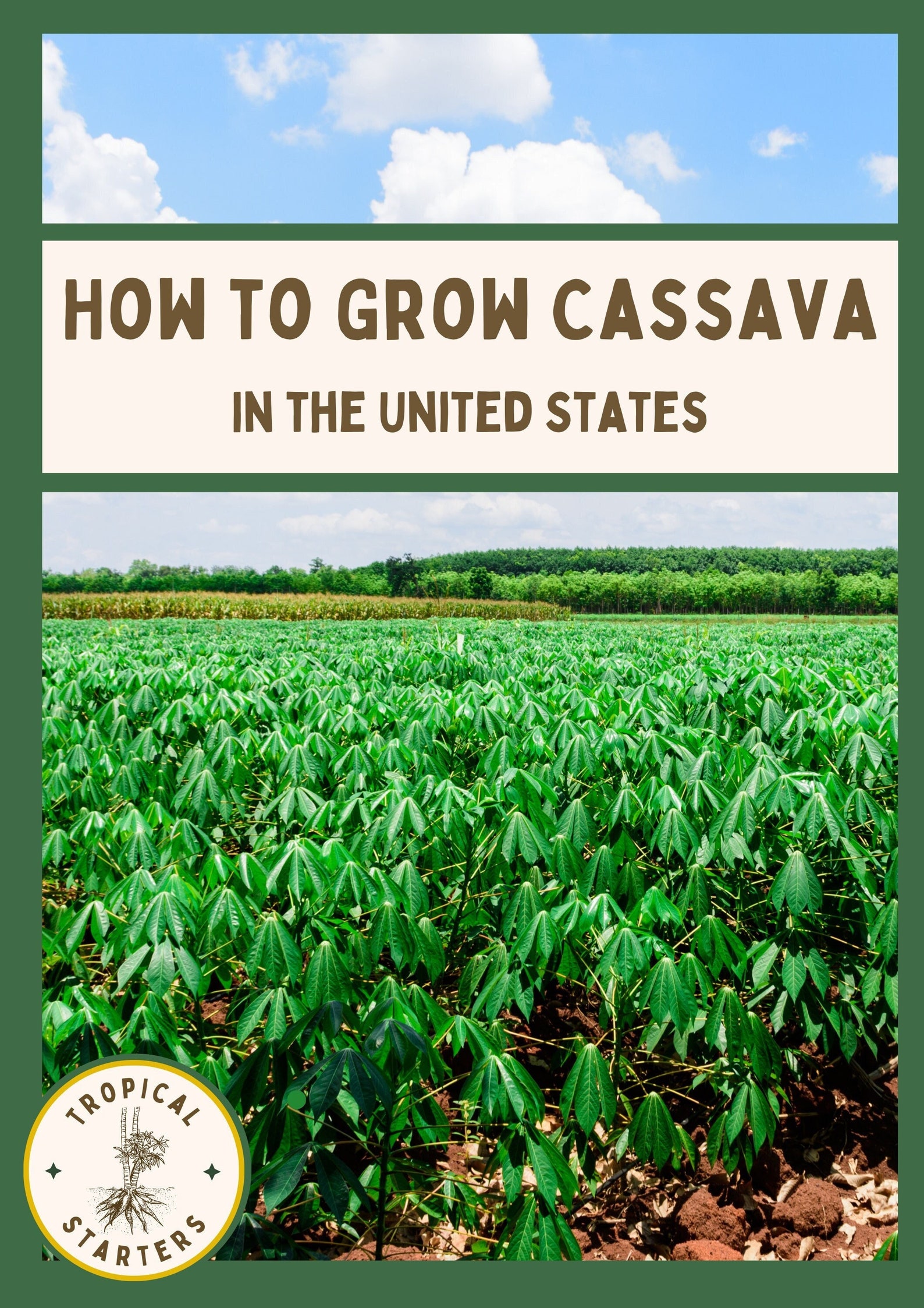 How to Grow Cassava in the United States (downloadable 34-page Ebook ...