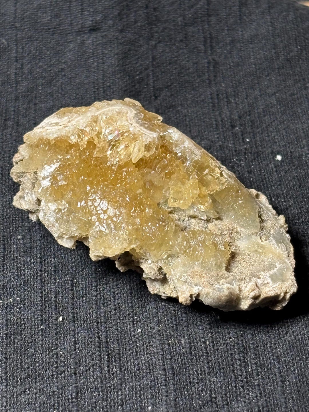 Honey Calcite Fossil Clam | Fort Drum Crystal Mine Florida | Crystal ...