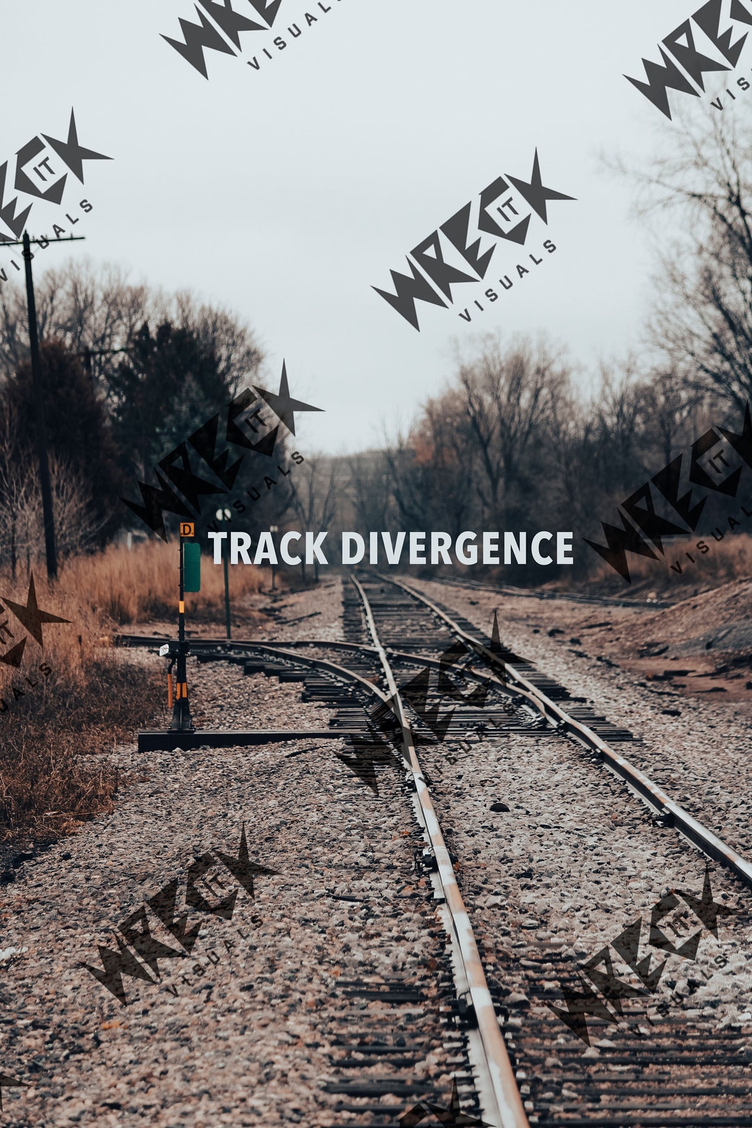 Track Divergence Photograph of Railroad Splitting Into Two - Etsy Australia