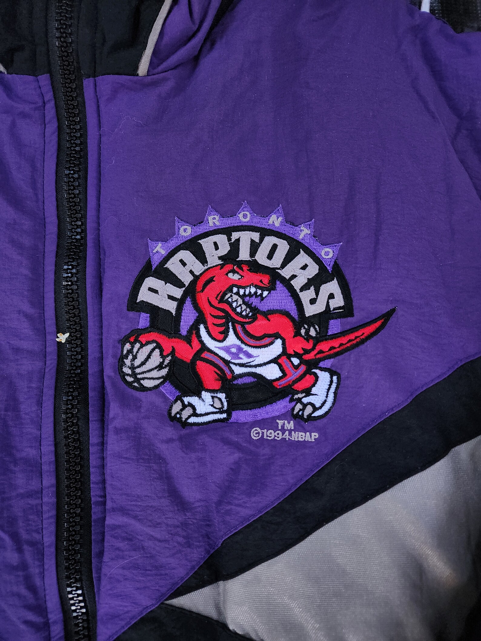 Vintage 1990s Toronto Raptors Pro Player Puffer Jacket XL - Etsy