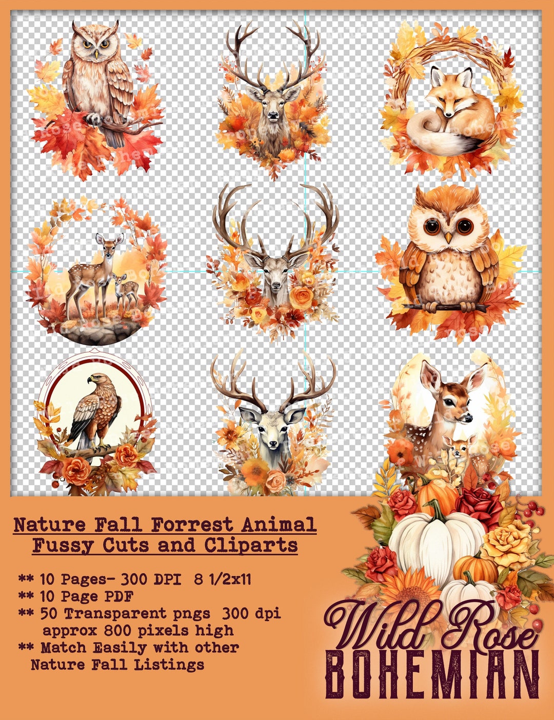 Autum Forest Animal Clipart, Fall Transparent PNGS, Forest Clipart ...