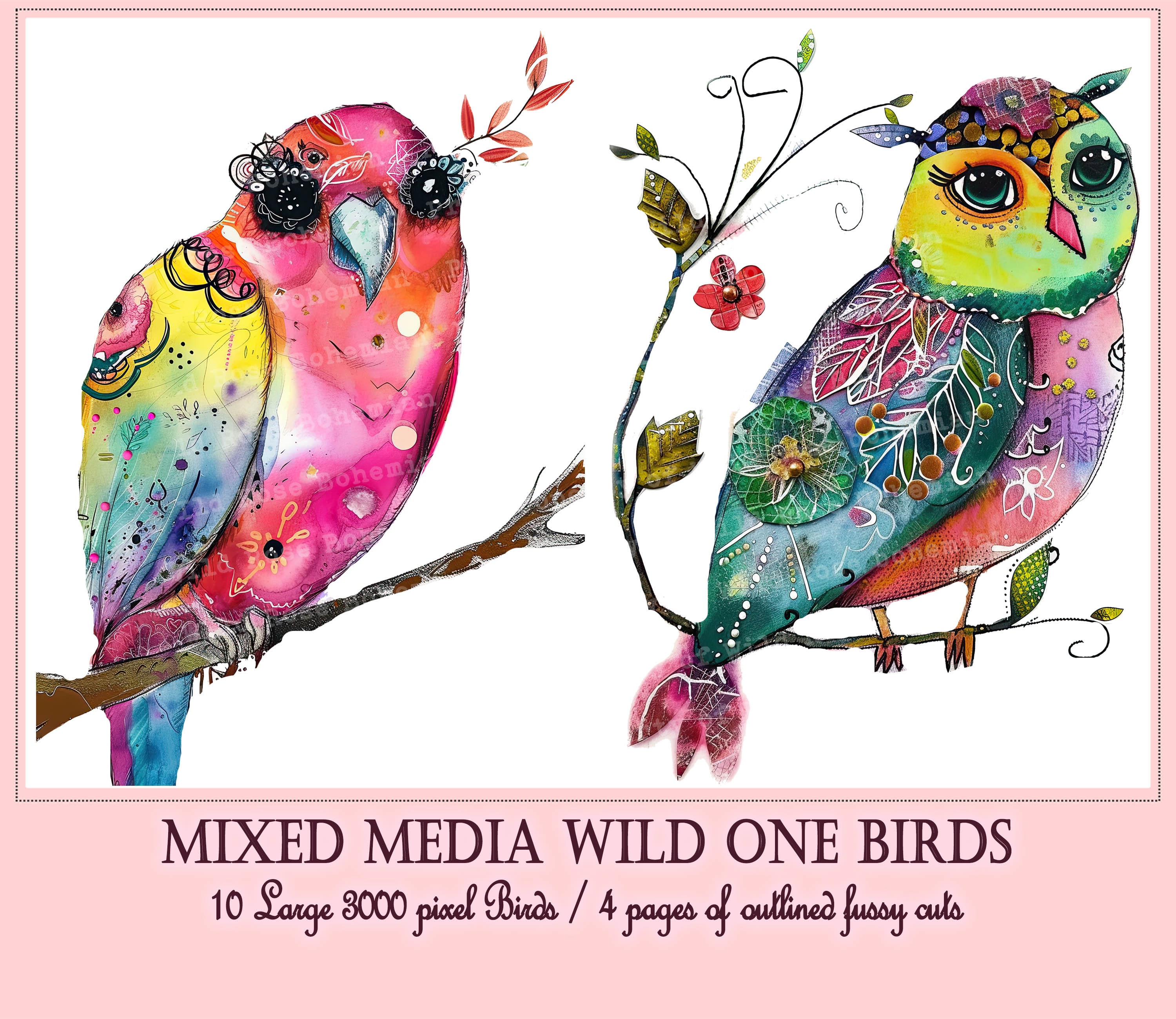 Water Colored Bird Clipart Transparent PNG, Wild One Bird Sublimation ...