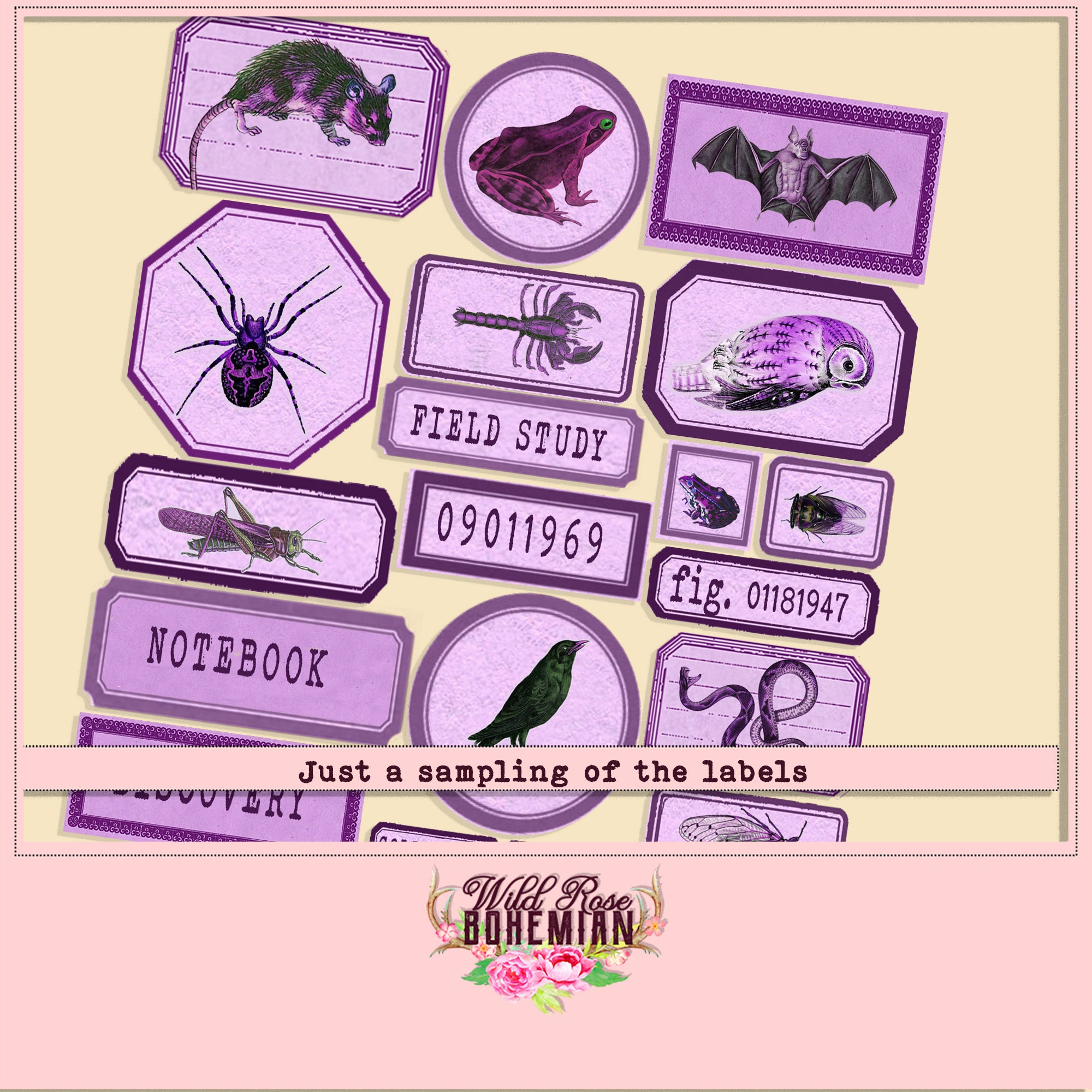 Junk Journal Kit Printable Field Notes in Green and Purple - Etsy