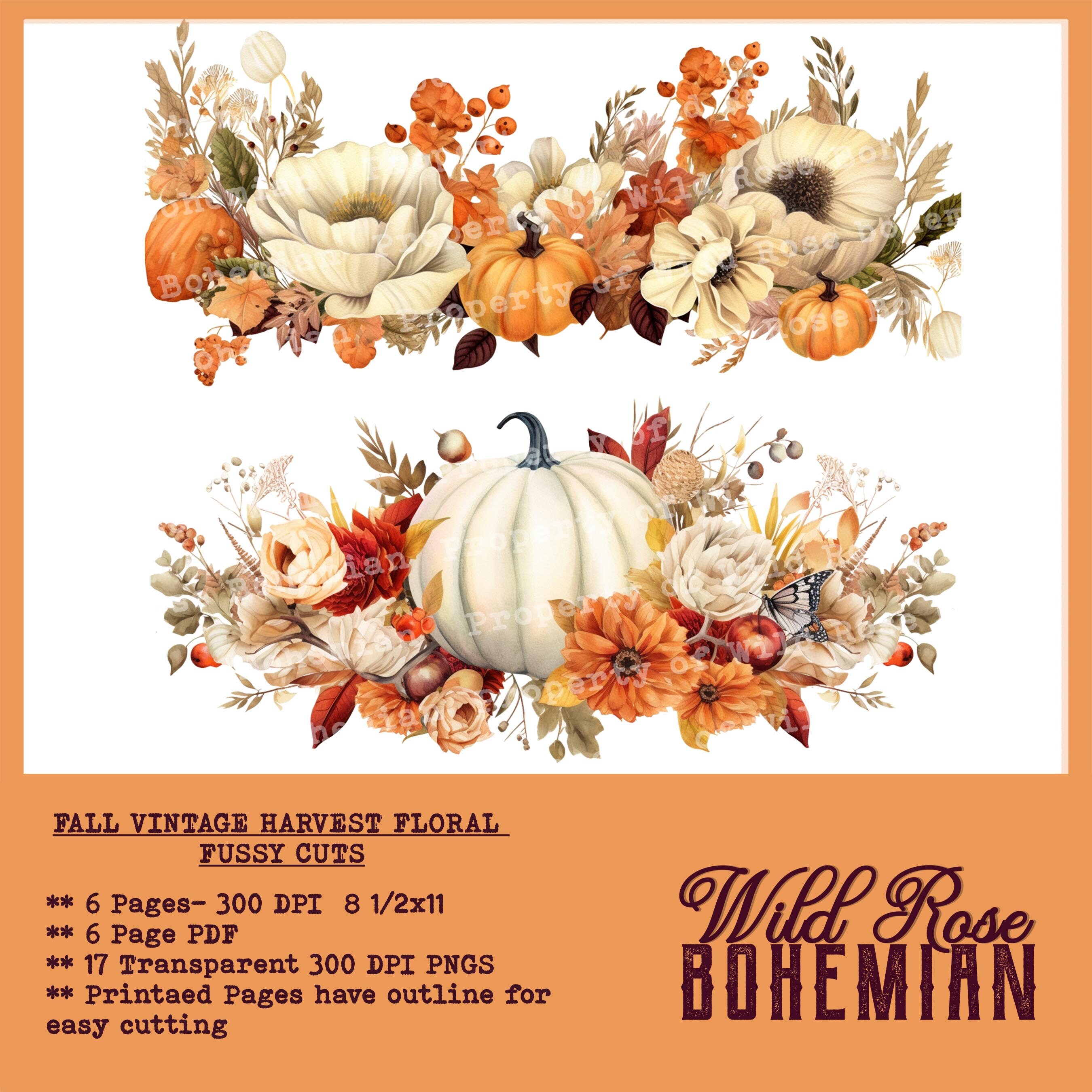 Vintage Fall Harvest Floral Transparent PNGS, Floral Dividers, Harvest ...