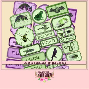Junk Journal Kit Printable Field Notes in Green and Purple Etymology ...