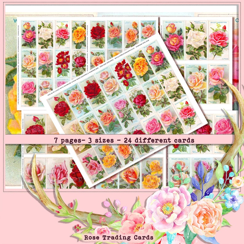 Vintage Rosetrading Cards Printable Digital Rose Cards - Etsy