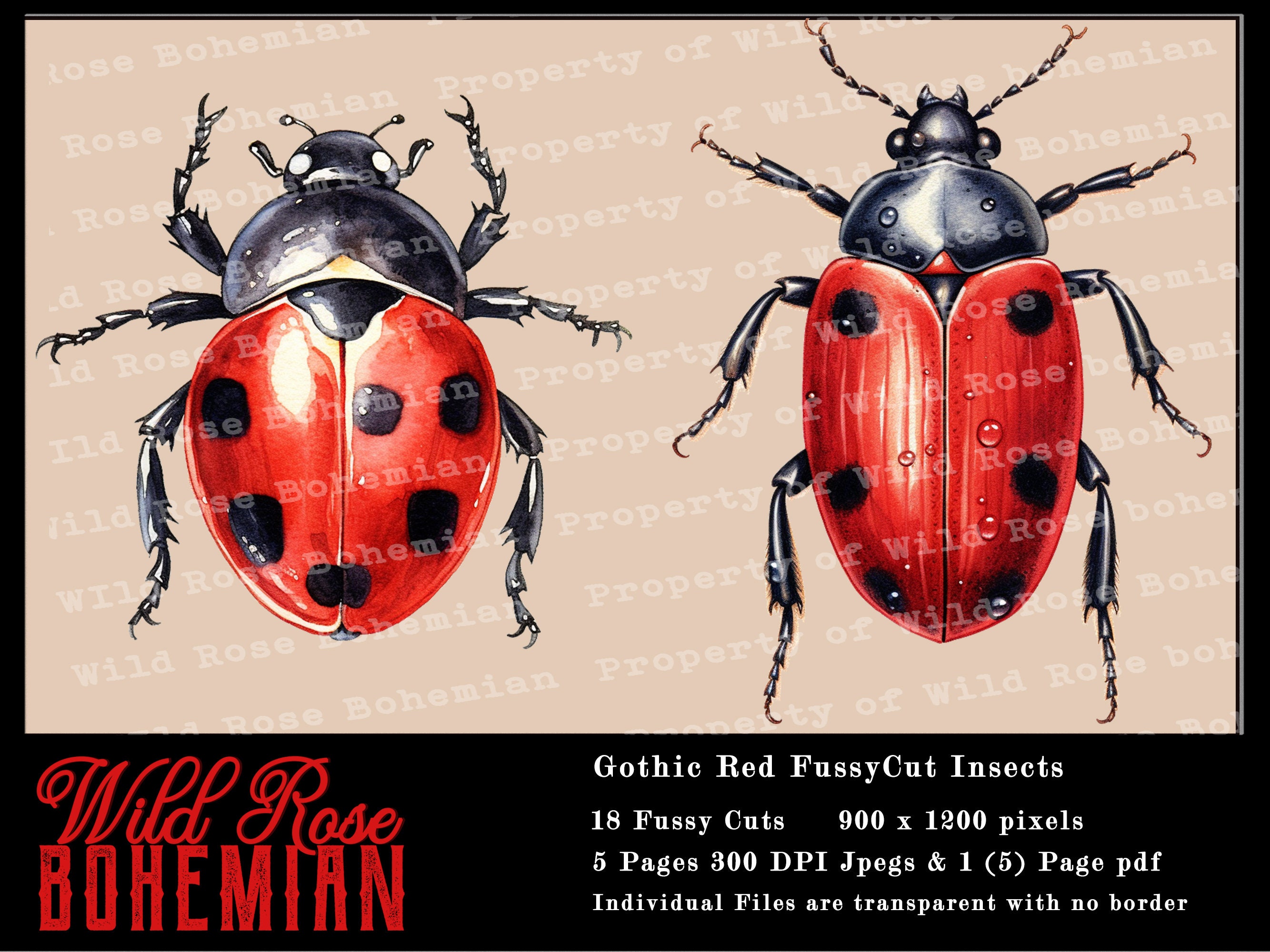 Insect Clipart Black and Red Gothic Spider Graphics, Fussy Cuts PNGS ...