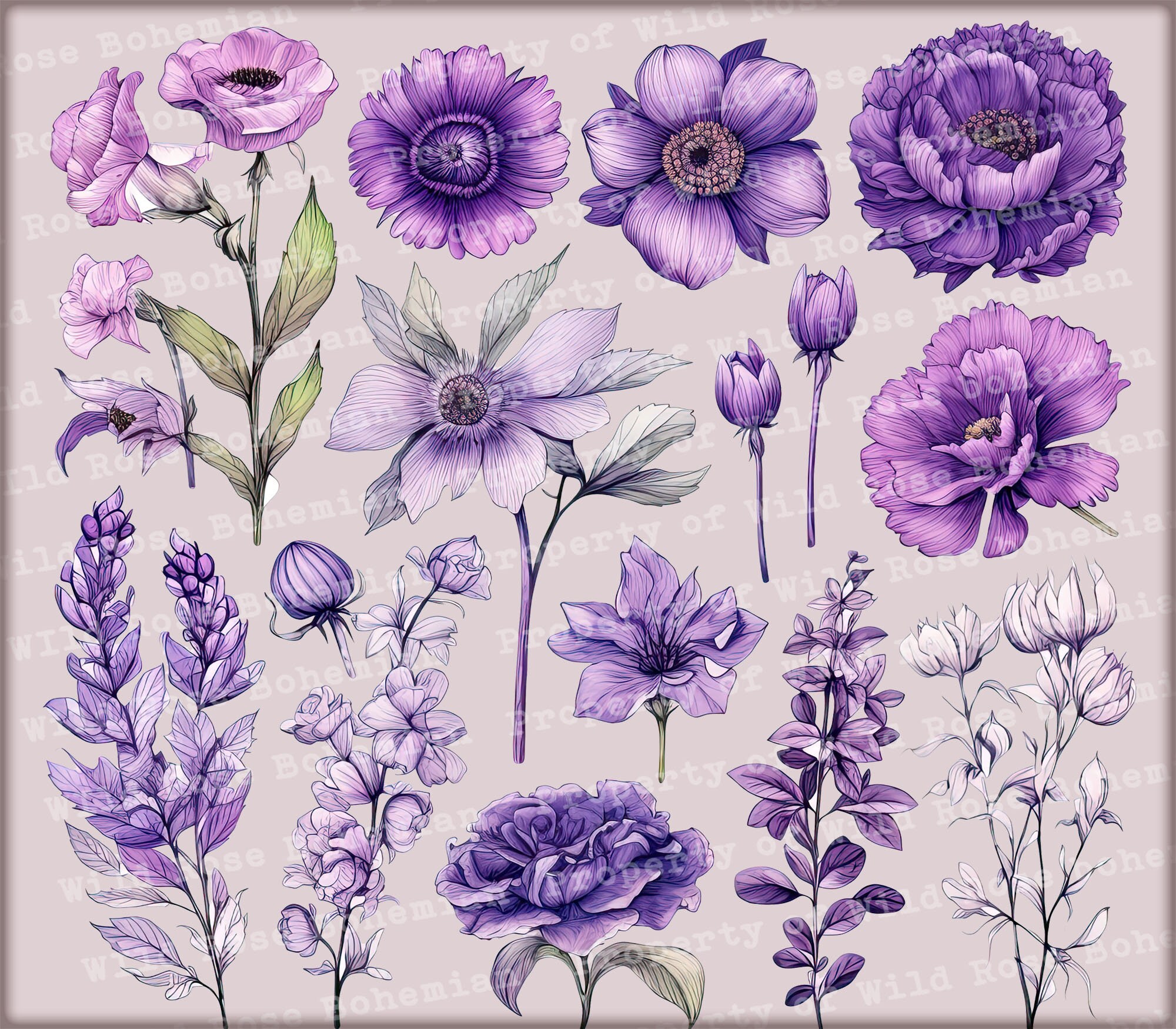 Purple Rococo Clipart: Marie Antoinette Pngs, Fussy Cuts, Purple ...