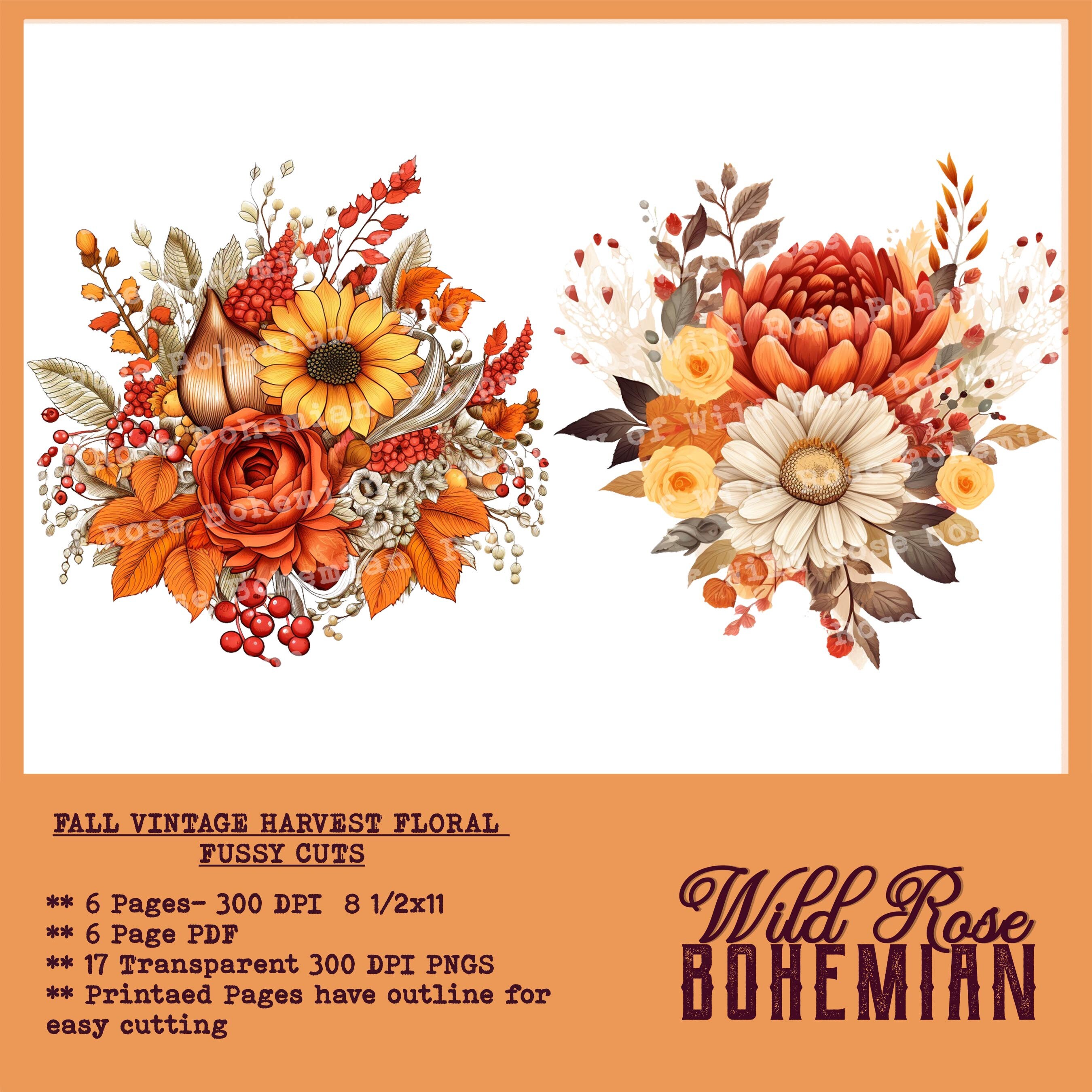 Vintage Fall Harvest Floral Transparent PNGS, Floral Dividers, Harvest ...