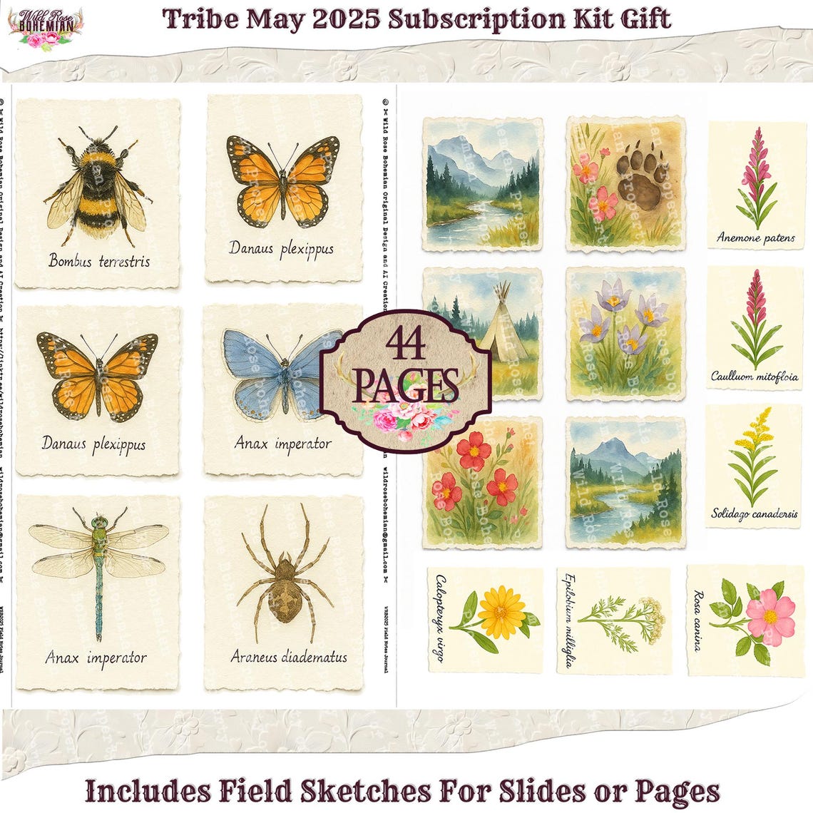 Field Guide Kit: Vintage Nature Journal (digital Download), Printable ...