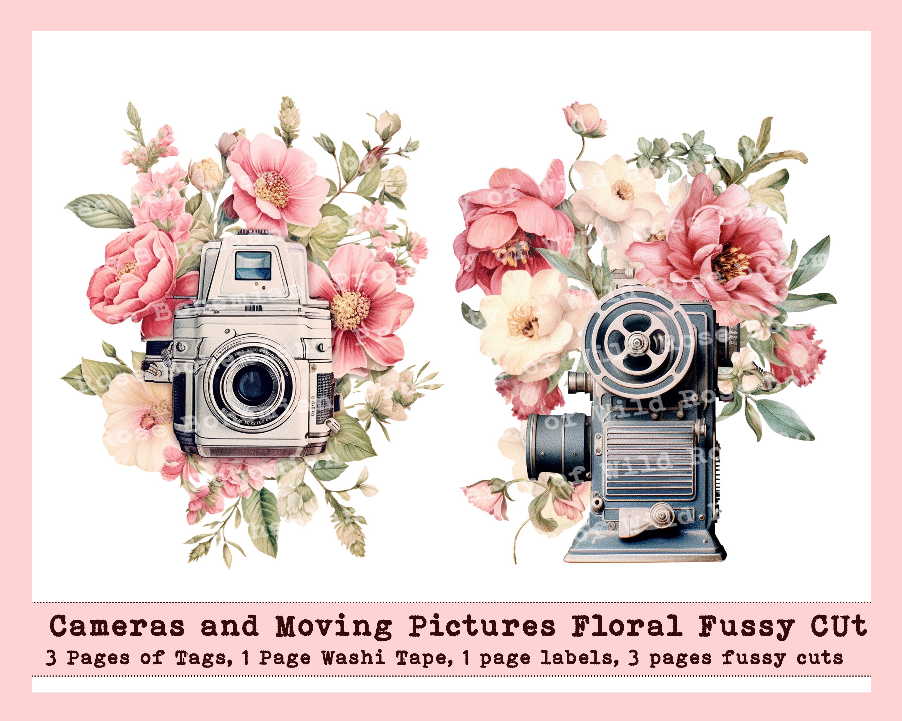 Camera PNG, Roses Clipart, Shabby Chic Camera Florals Fussy Cut, Shabby ...