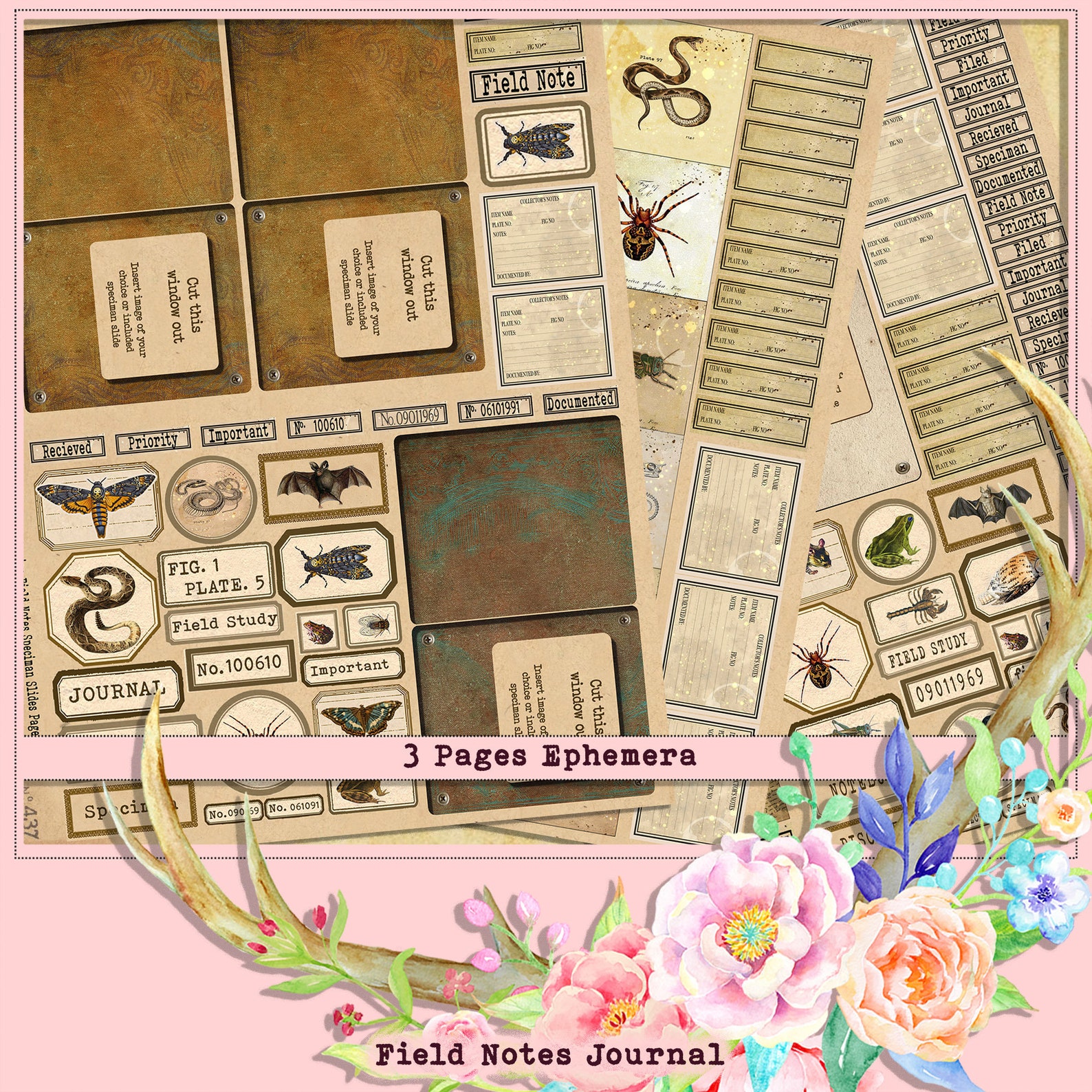Field Notes and Specimen Slides Nature Ephemera, Junk Journal Kit ...