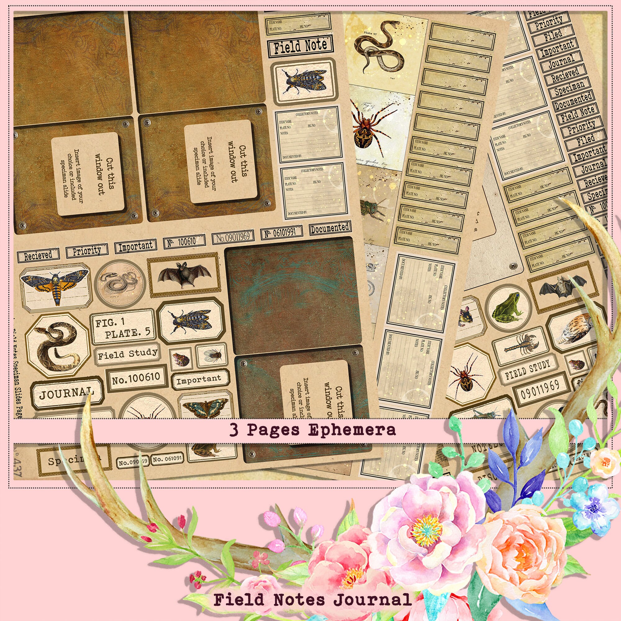 Field Notes and Specimen Slides Nature Ephemera, Junk Journal Kit ...