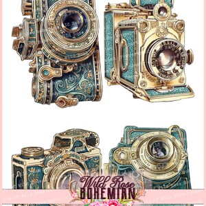 Shabby Chic Camera and Roses Clipart, Shabby Chic Roses and Camera ...