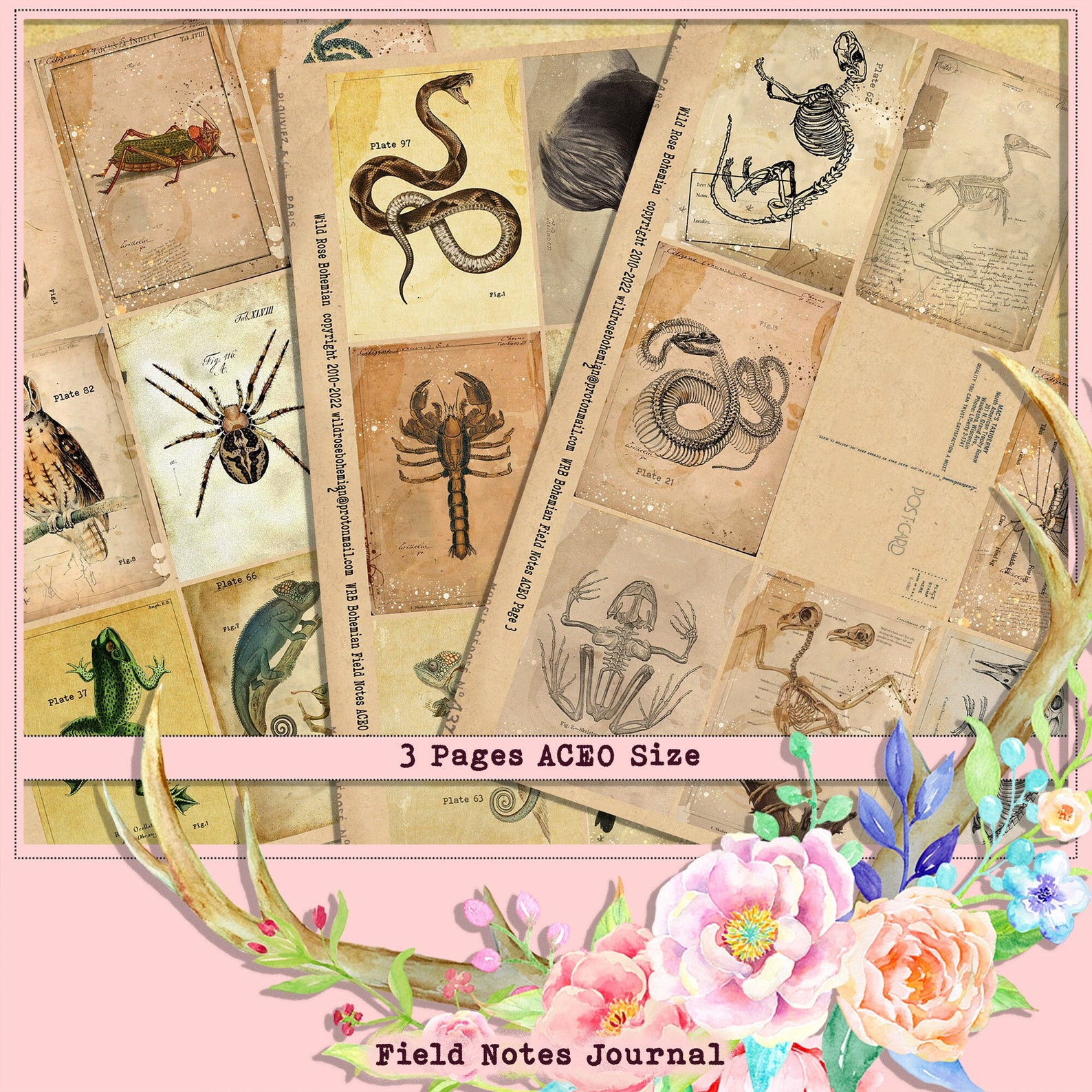 Field Notes and Specimen Slides Nature Ephemera, Junk Journal Kit ...