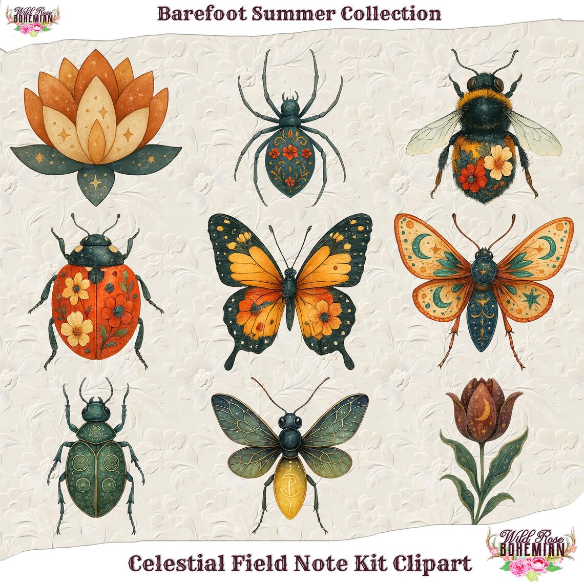 Celestial Insect Clipart: Ladybugs, Bees, Butterflies (PNG, Fussy Cuts ...