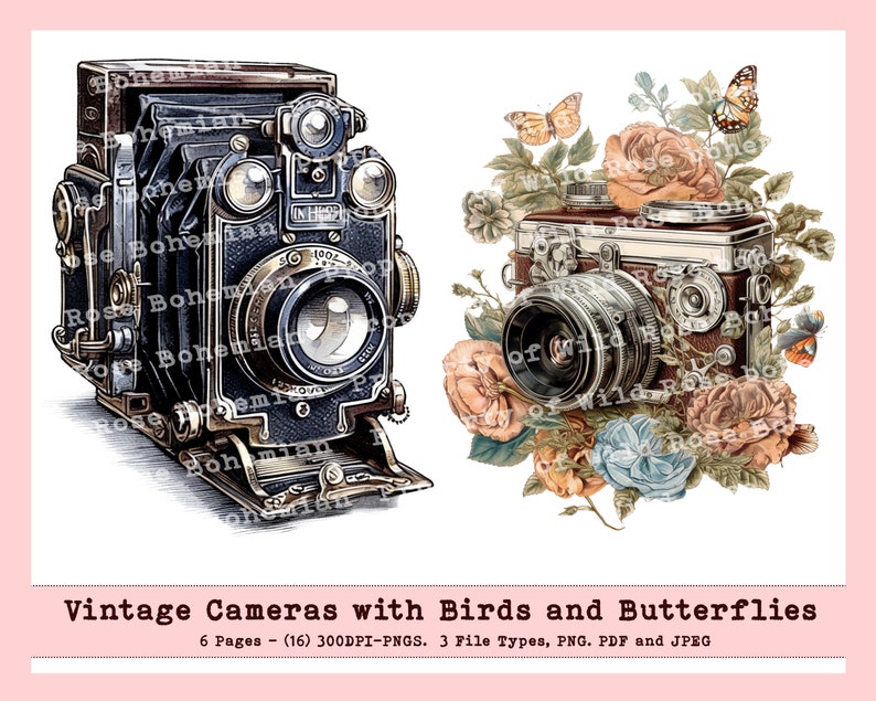 Shabby Chic Camera PNG, Camera Clipart, Vintage Camera and Birds Fussy ...