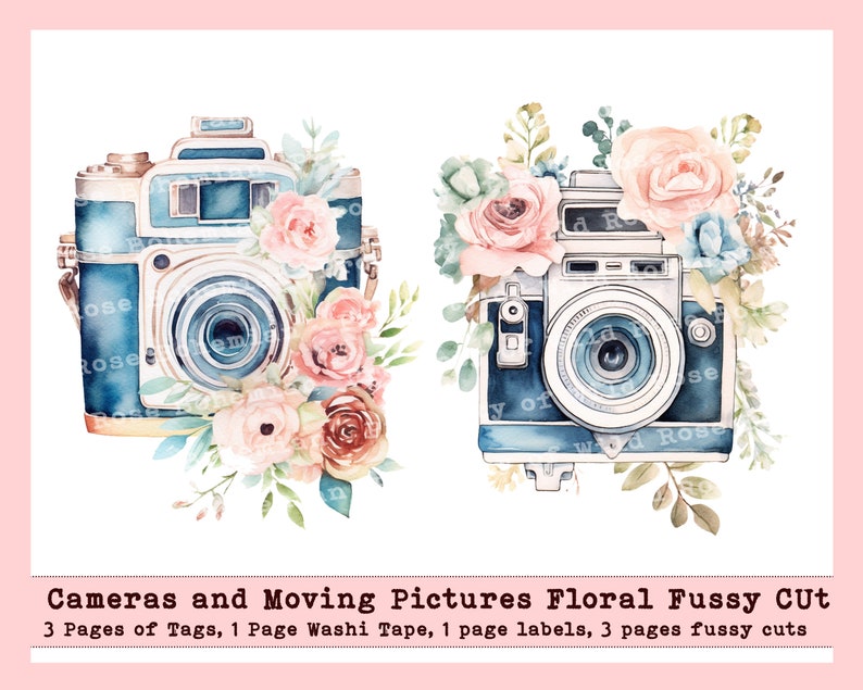 Camera PNG, Roses Clipart, Shabby Chic Camera Florals Fussy Cut, Shabby ...
