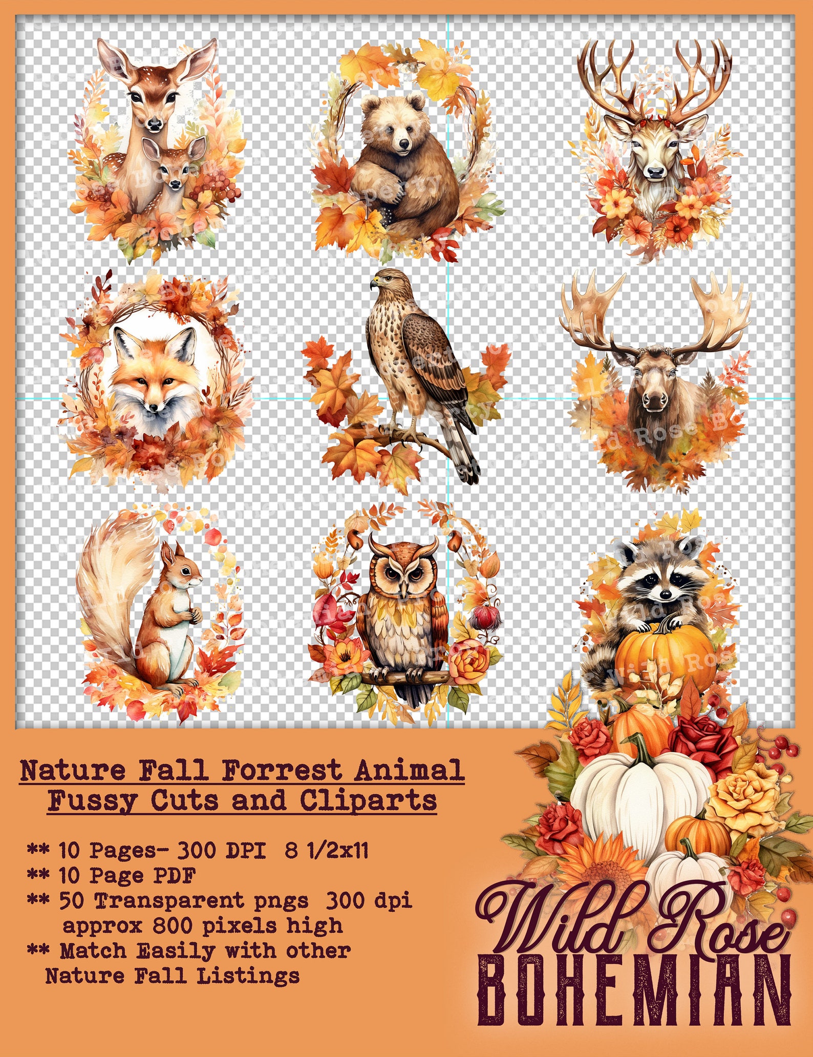 Autumn Animal Clipart: Fall Forest PNG Stickers (digital Download ...