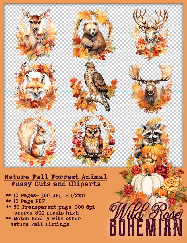 Autumn Animal Clipart: Fall Forest PNG Stickers (digital Download ...