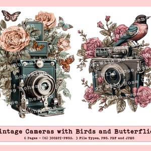 Shabby Chic Camera PNG, Camera Clipart, Vintage Camera and Birds Fussy ...