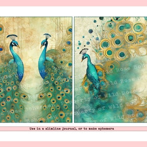 Peacock Slimline Journal Paper, Turquoise and Gold Slimline Journal ...
