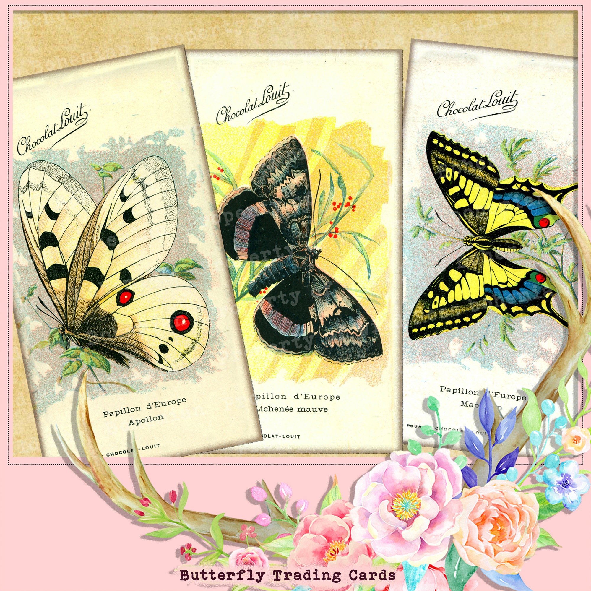 Vintage French Trading Cards, Printable French Butterfly Cards, Digital ...