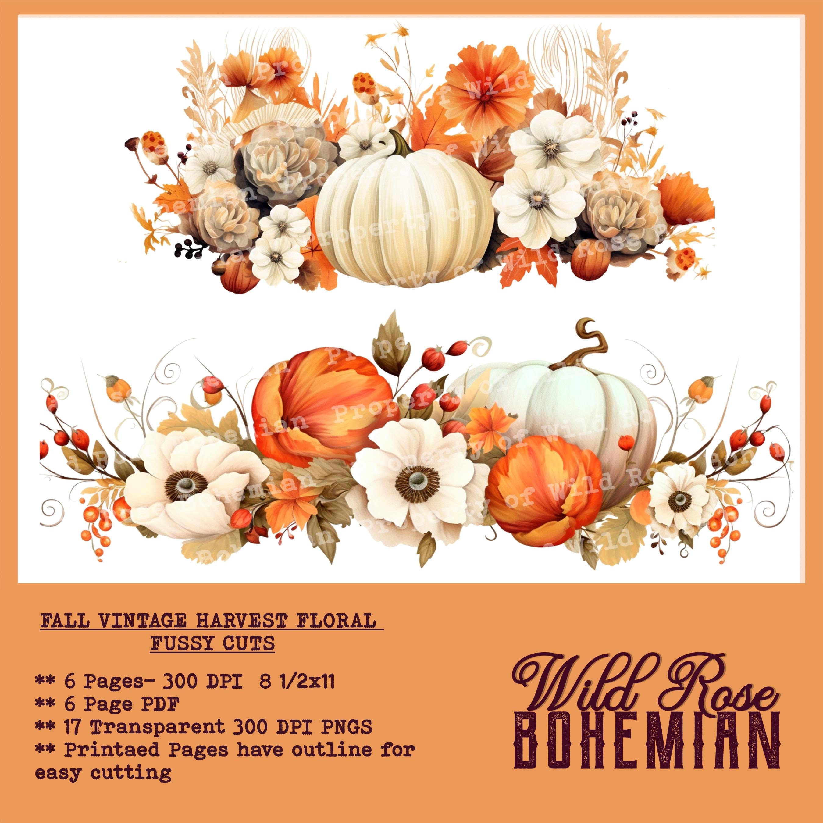 Vintage Fall Harvest Floral Transparent PNGS, Floral Dividers, Harvest ...