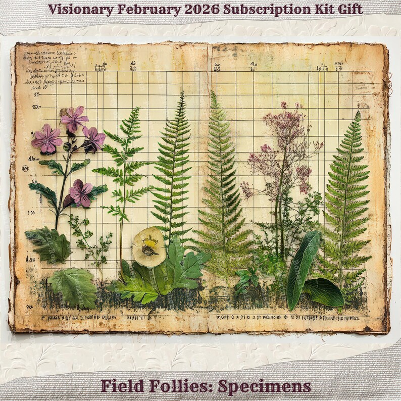 Speciman Paper, Botany Junk Journal, Botanical Ephemera, Journal Pages ...