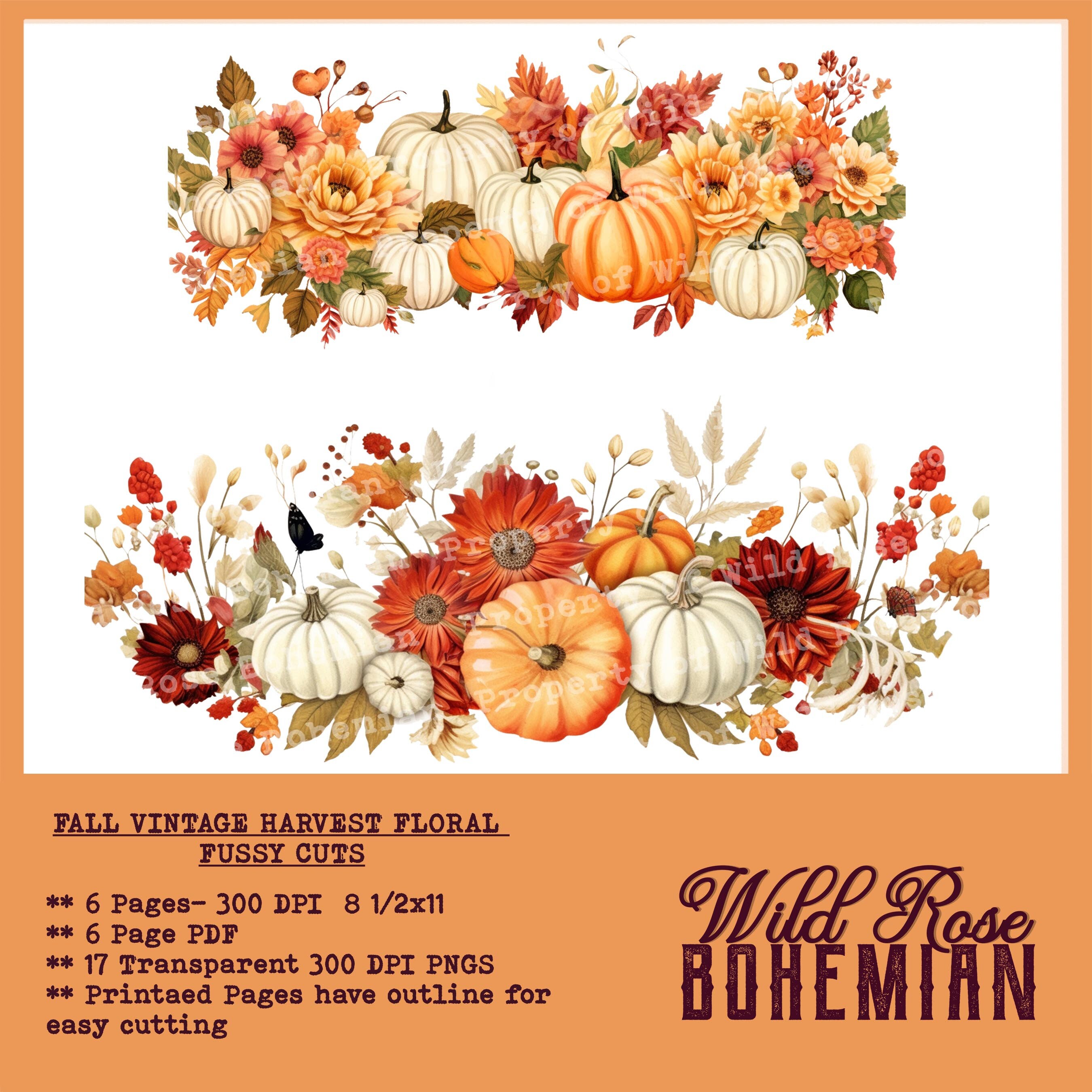 Vintage Fall Harvest Floral Transparent PNGS, Floral Dividers, Harvest ...