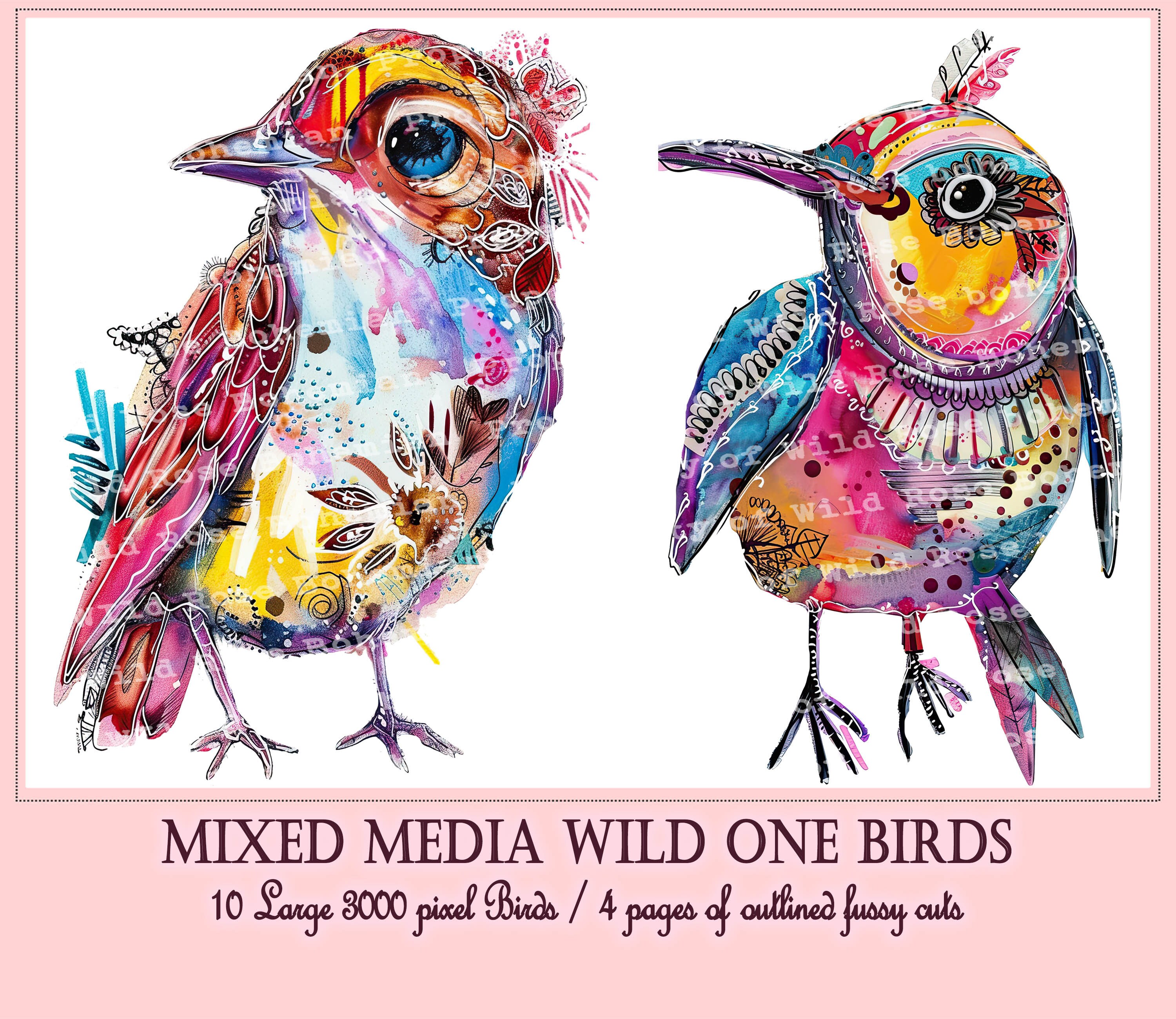 Water Colored Bird Clipart Transparent PNG, Wild One Bird Sublimation ...
