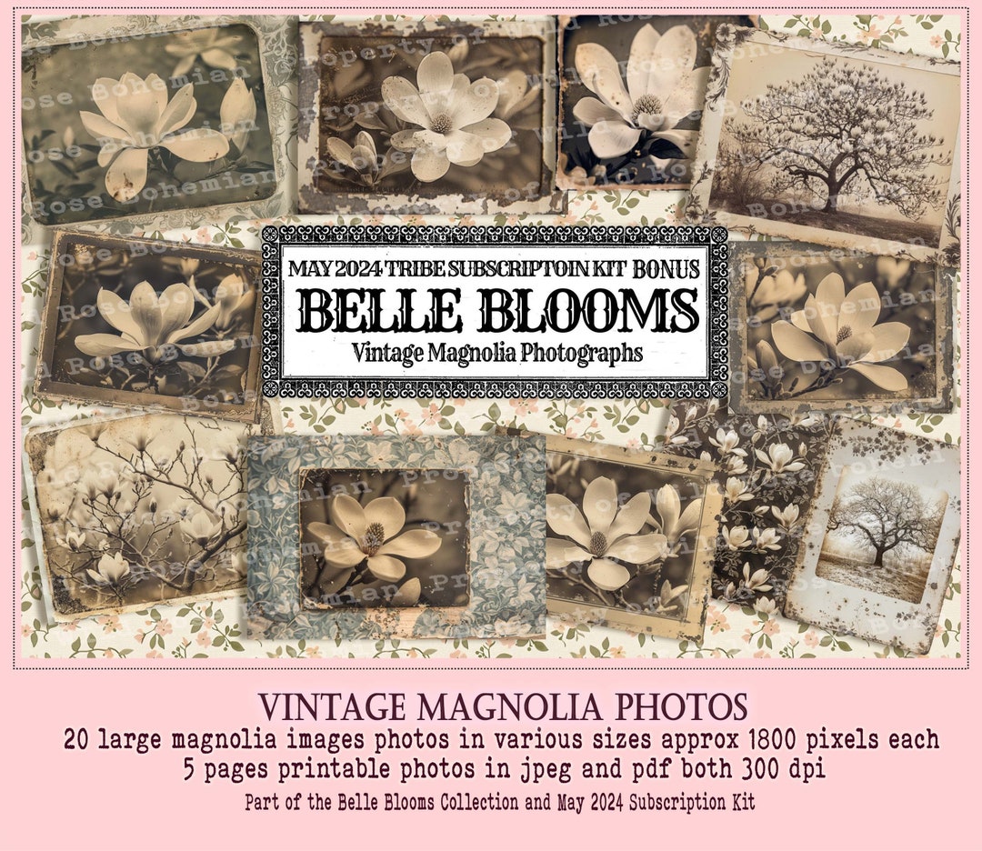 Magnolia Photos, Magnolia Ephemera, Floral Collage Photos, Vintage ...