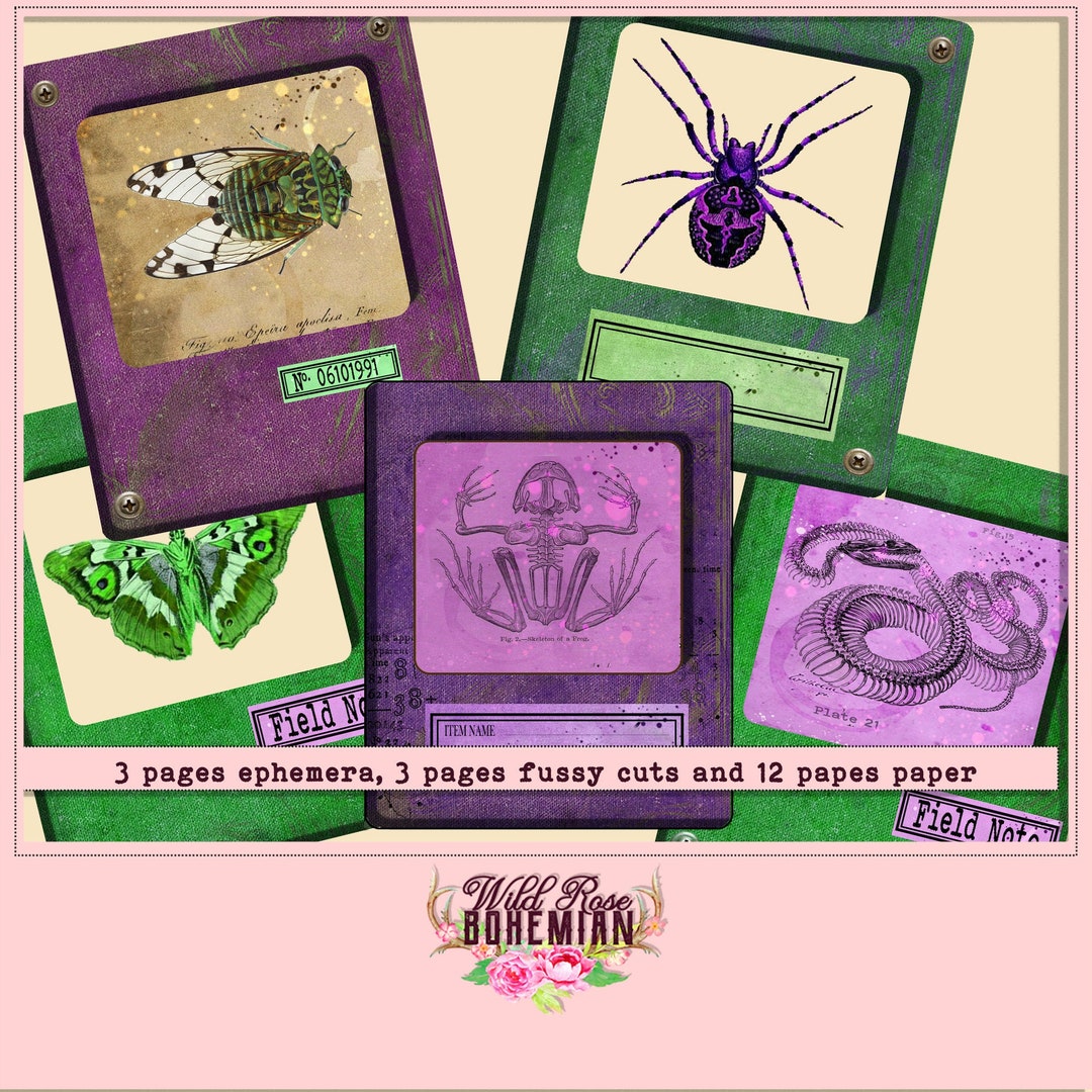 Junk Journal Kit Printable Field Notes in Green and Purple Etymology ...