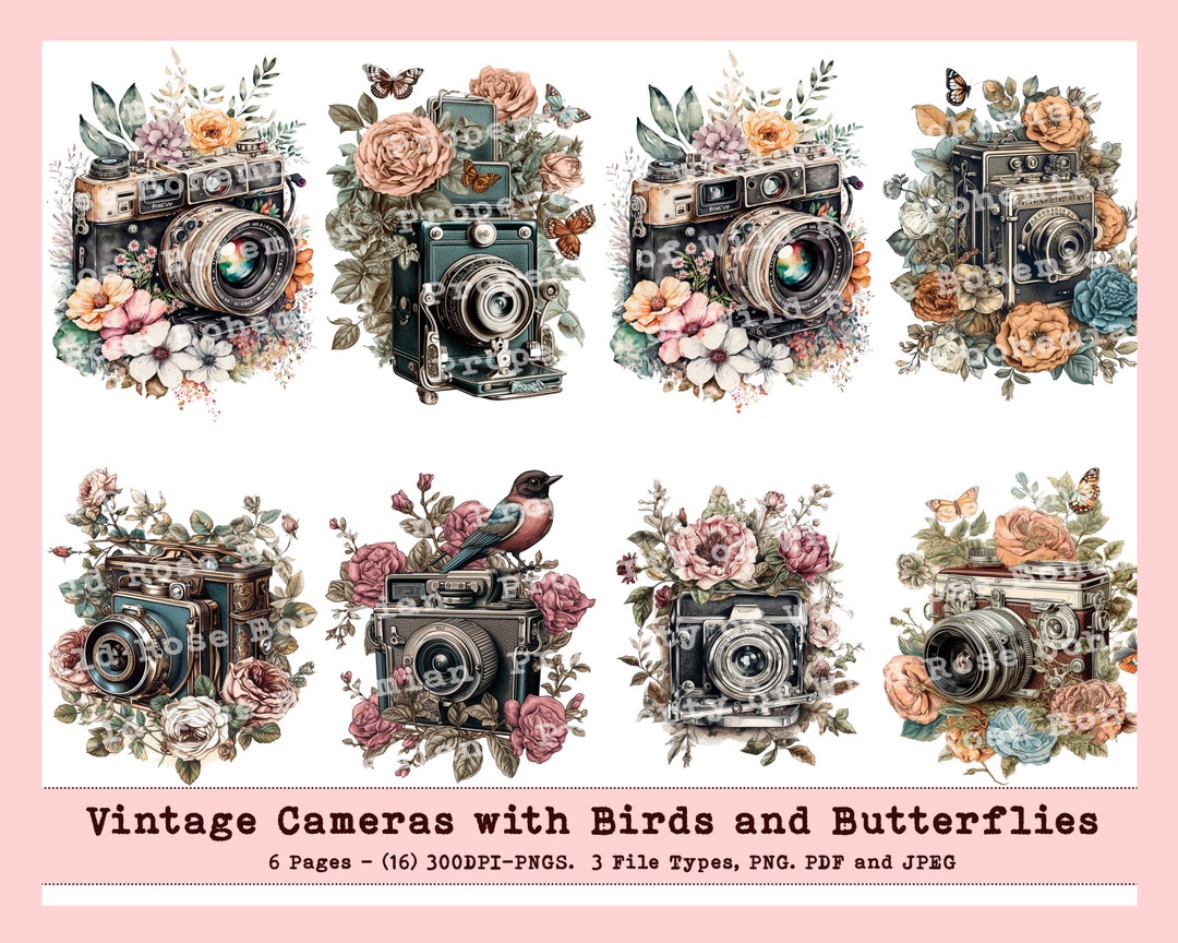 Shabby Chic Camera PNG, Camera Clipart, Vintage Camera and Birds Fussy ...