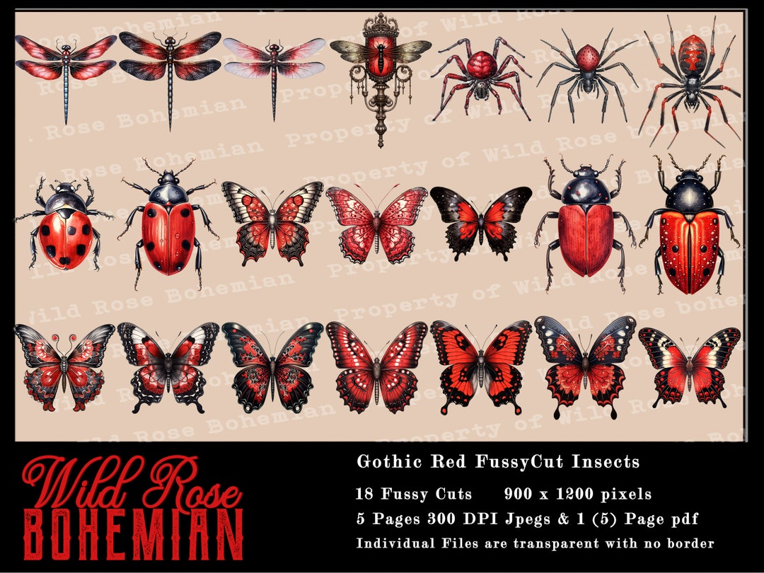 Gothic Insect Clipart Black and Red Gothic Spider Graphics, Fussy Cuts ...