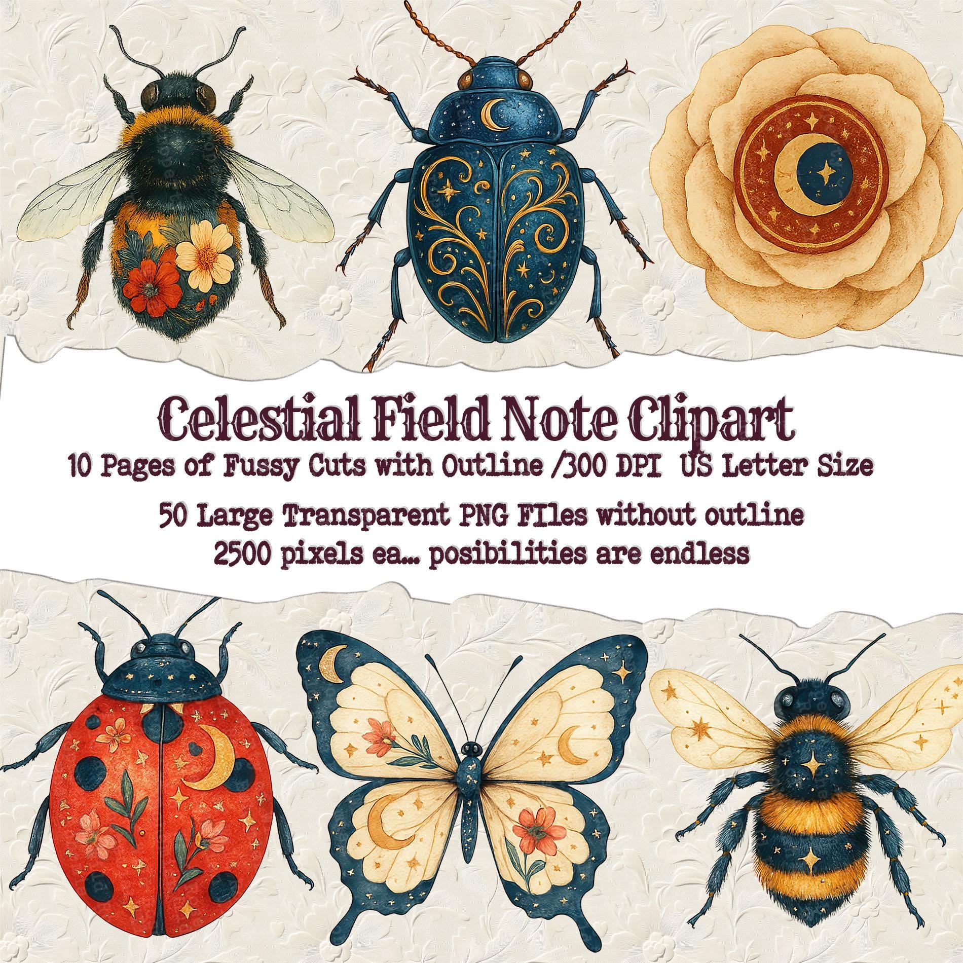 Celestial Insect Clipart: Ladybugs, Bees, Butterflies (PNG, Fussy Cuts ...