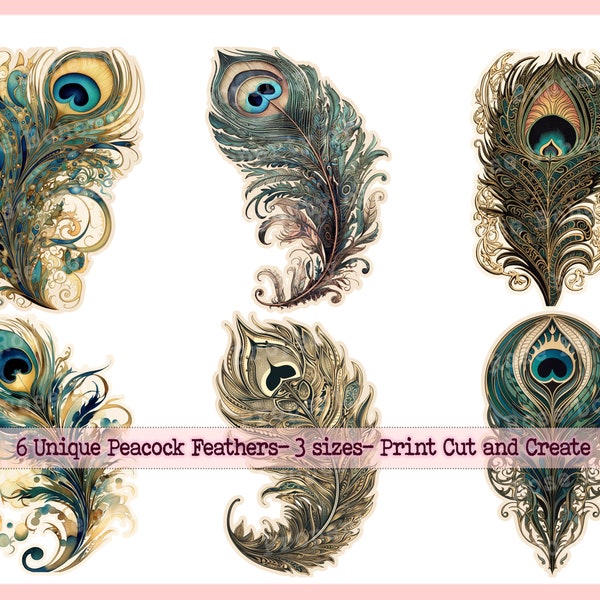Peacock Feathers Etsy