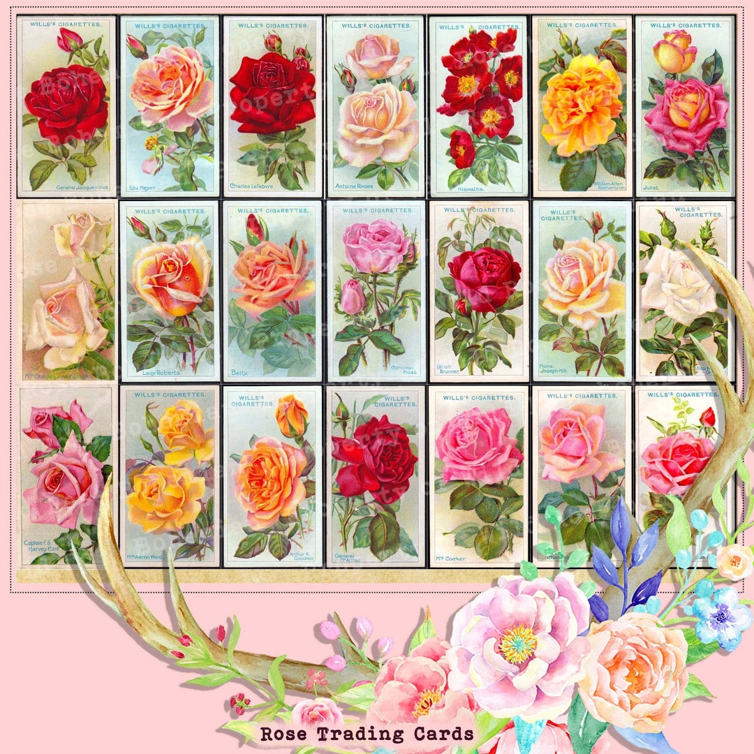 Vintage Rosetrading Cards, Printable Digital Rose Cards, Digital ...